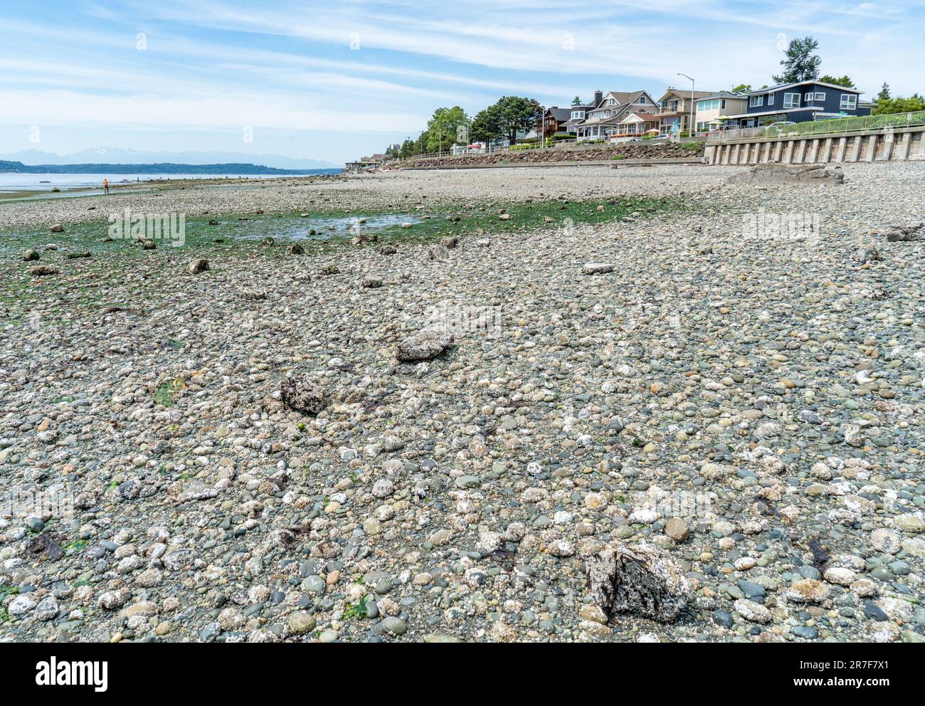 A view of the West Seattle shoreline with an extream low tide Stock ...