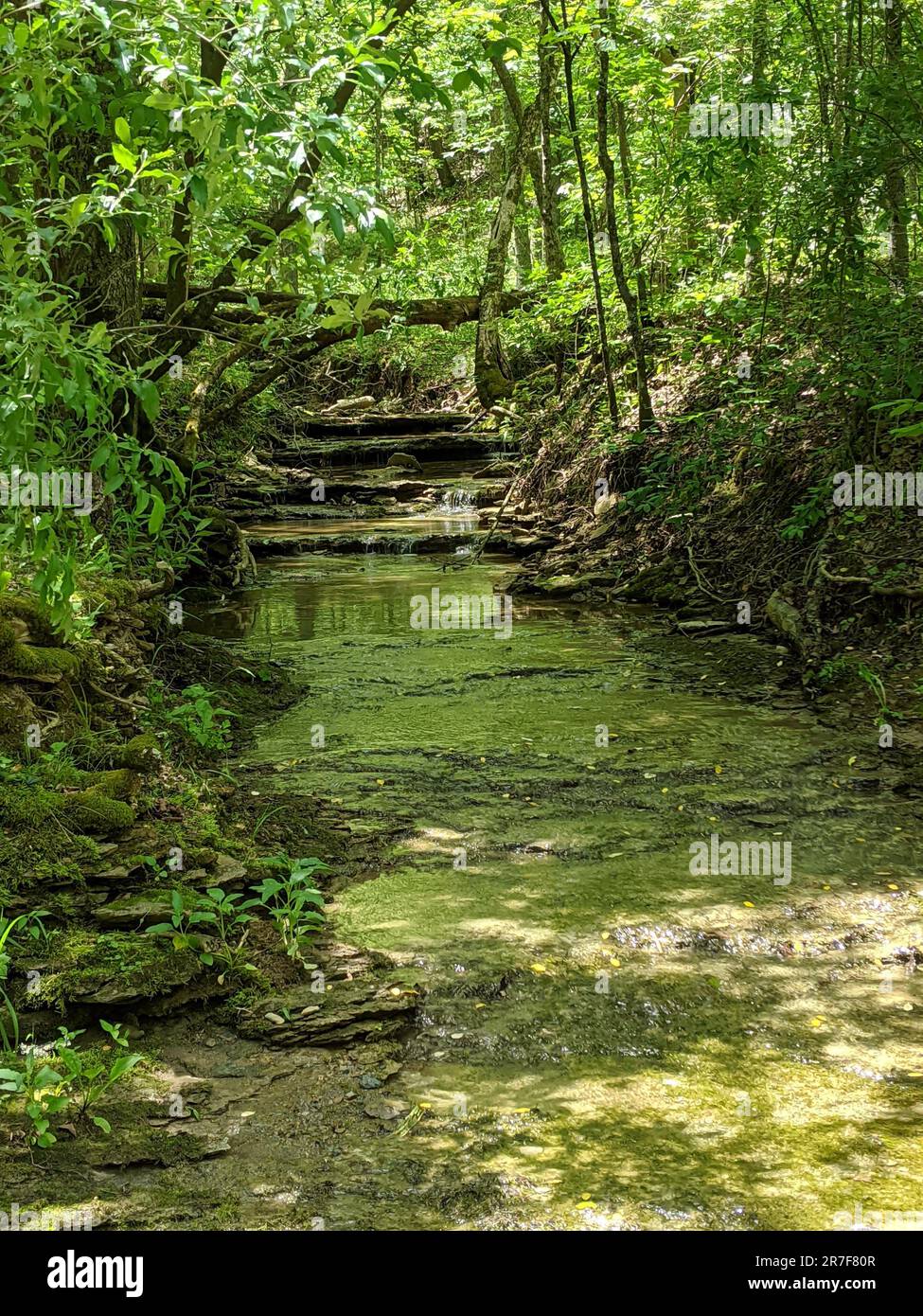 Naturally occurring steps hi-res stock photography and images - Alamy