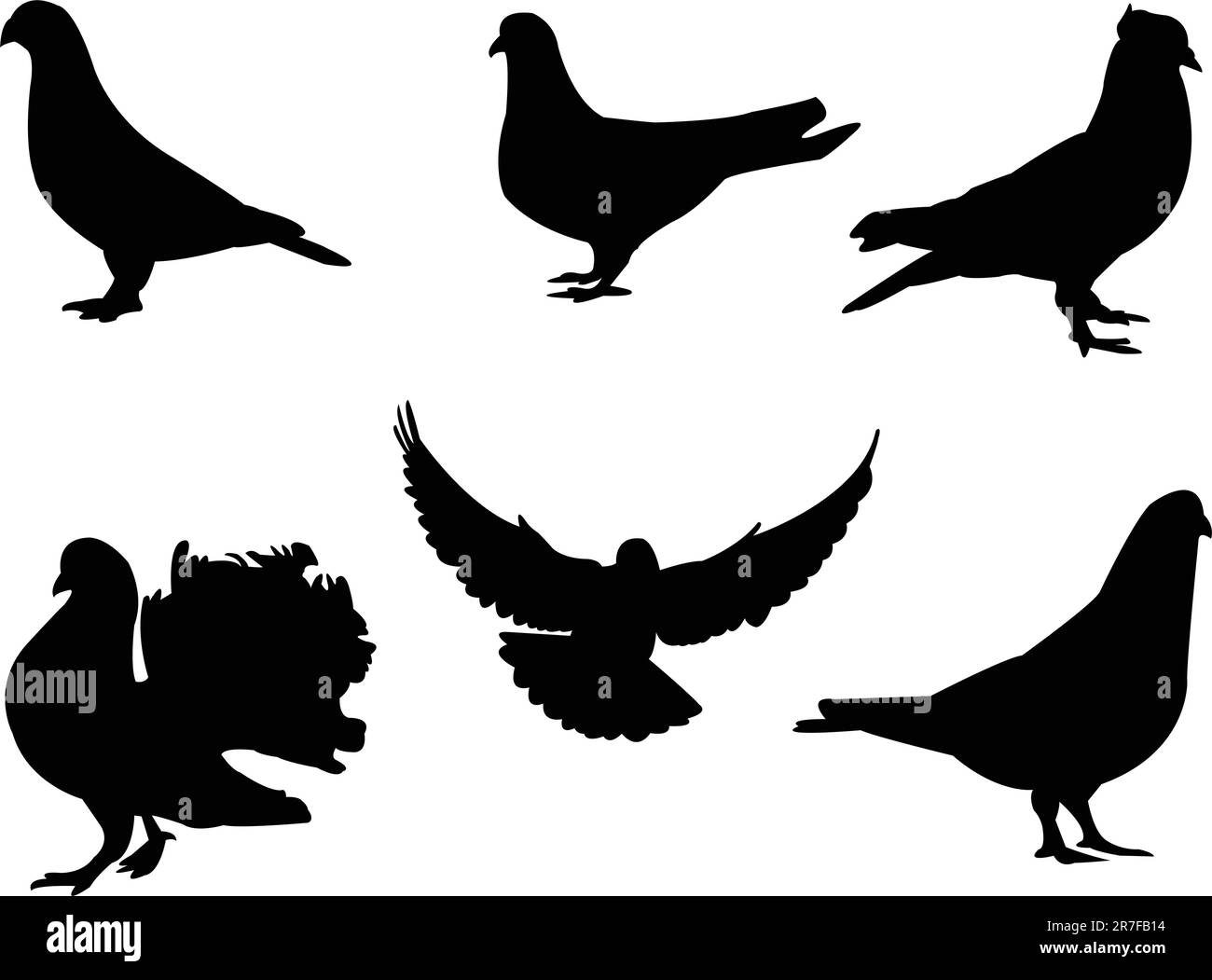 pigeon silhouette - vector Stock Vector Image & Art - Alamy
