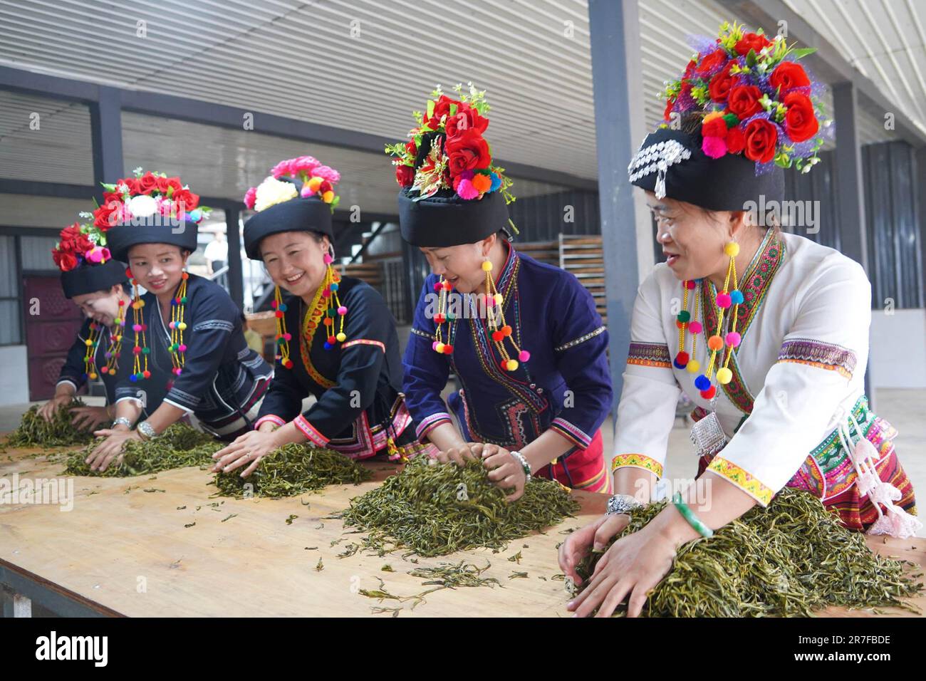 Xishuangbanna, China's Yunnan Province. 7th June, 2023. Villagers ...
