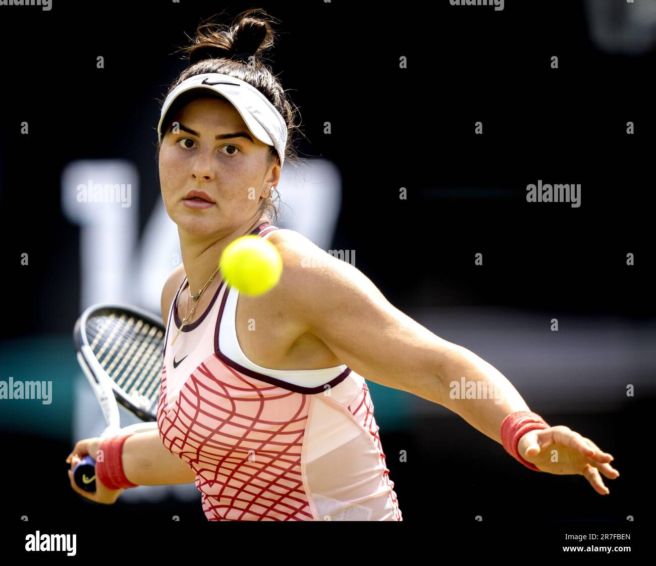 Viktoria hruncakova hi-res stock photography and images - Alamy