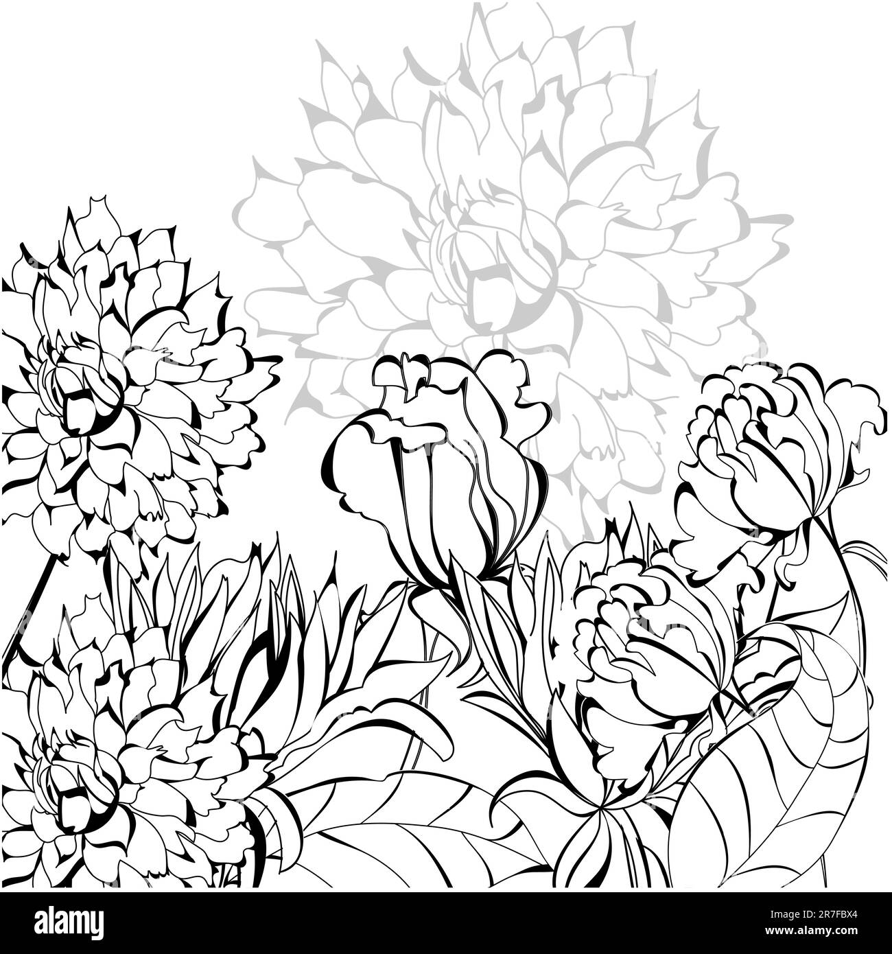 Sketch of flowers Cut Out Stock Images & Pictures - Alamy