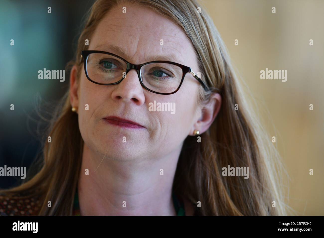 Anne somerville hi-res stock photography and images - Alamy