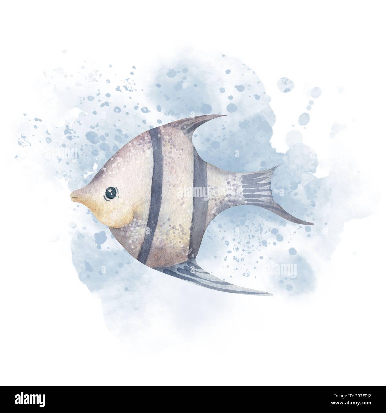 Angelfish with watercolor Splash. Hand drawn illustration of angel Fish ...
