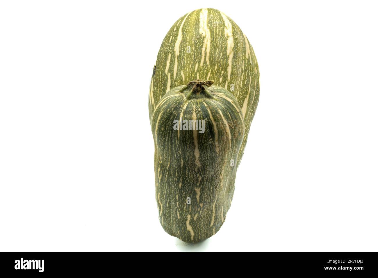 A vibrant, fresh green squash sits atop a smooth white background Stock ...