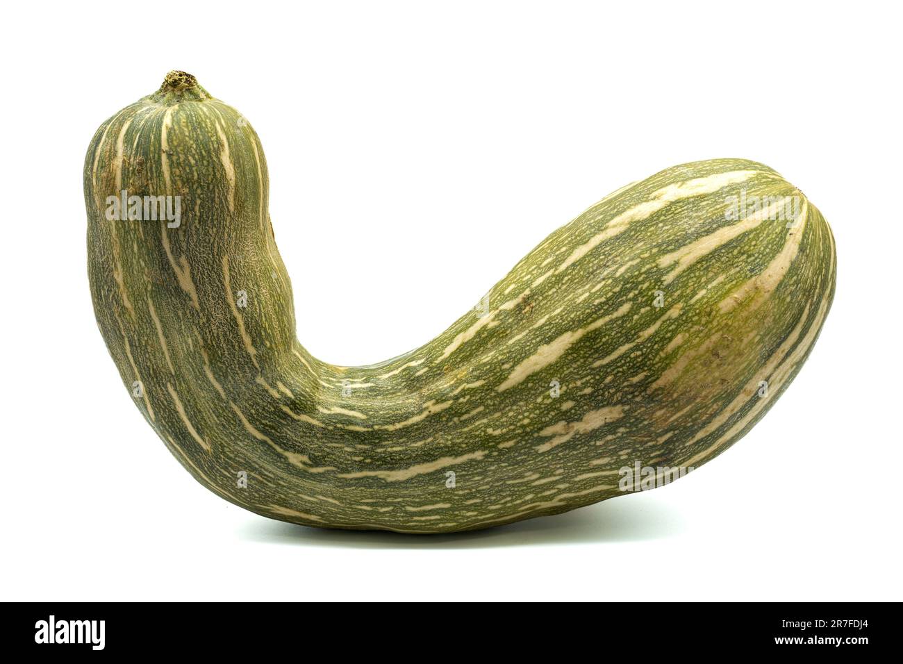 A vibrant, fresh green squash sits atop a smooth white background Stock ...