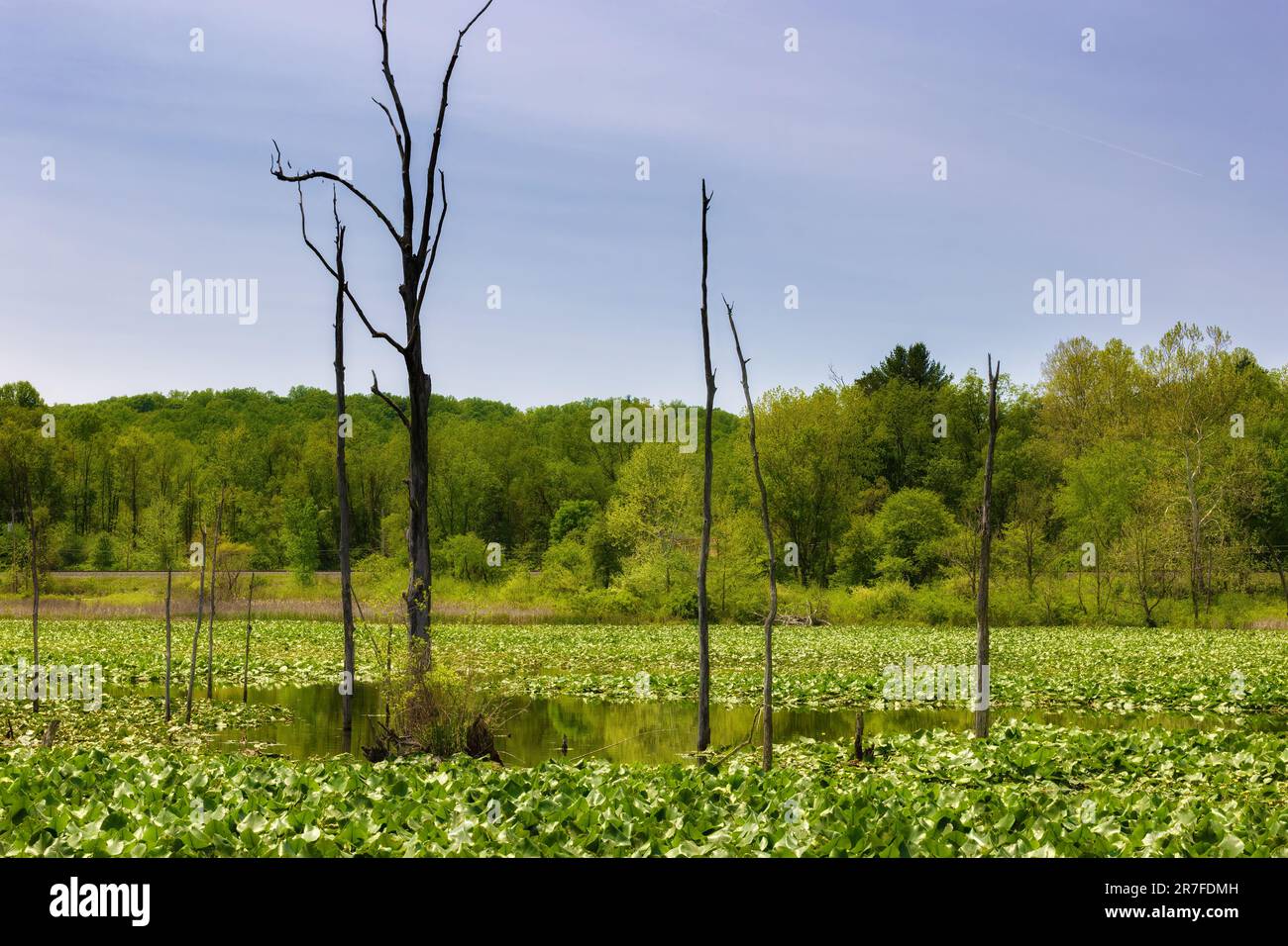 Landscape view at Beaver Marsh, Cuyahoga Valley National Park Stock ...
