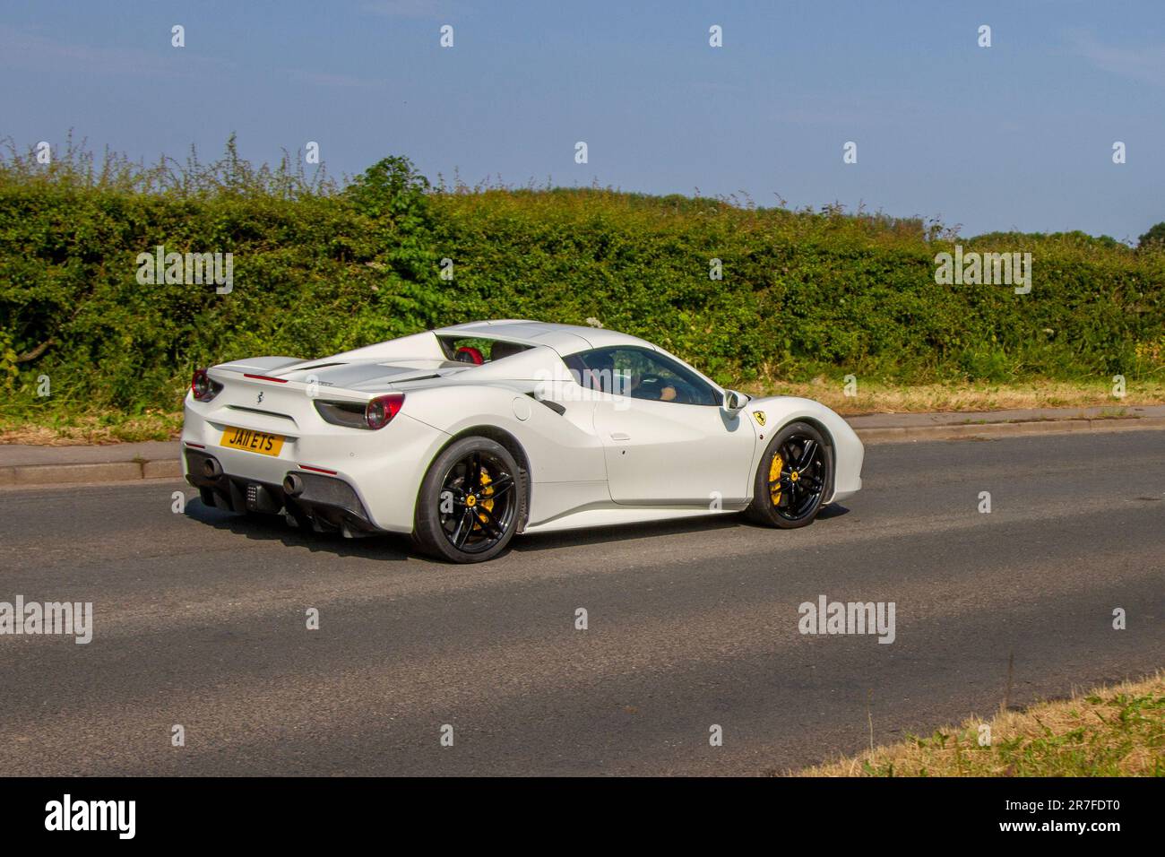 488 spider hi-res stock photography and images - Alamy