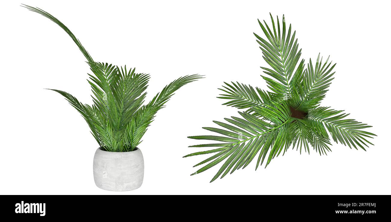 A set of two isolated images from different angles Stock Photo - Alamy