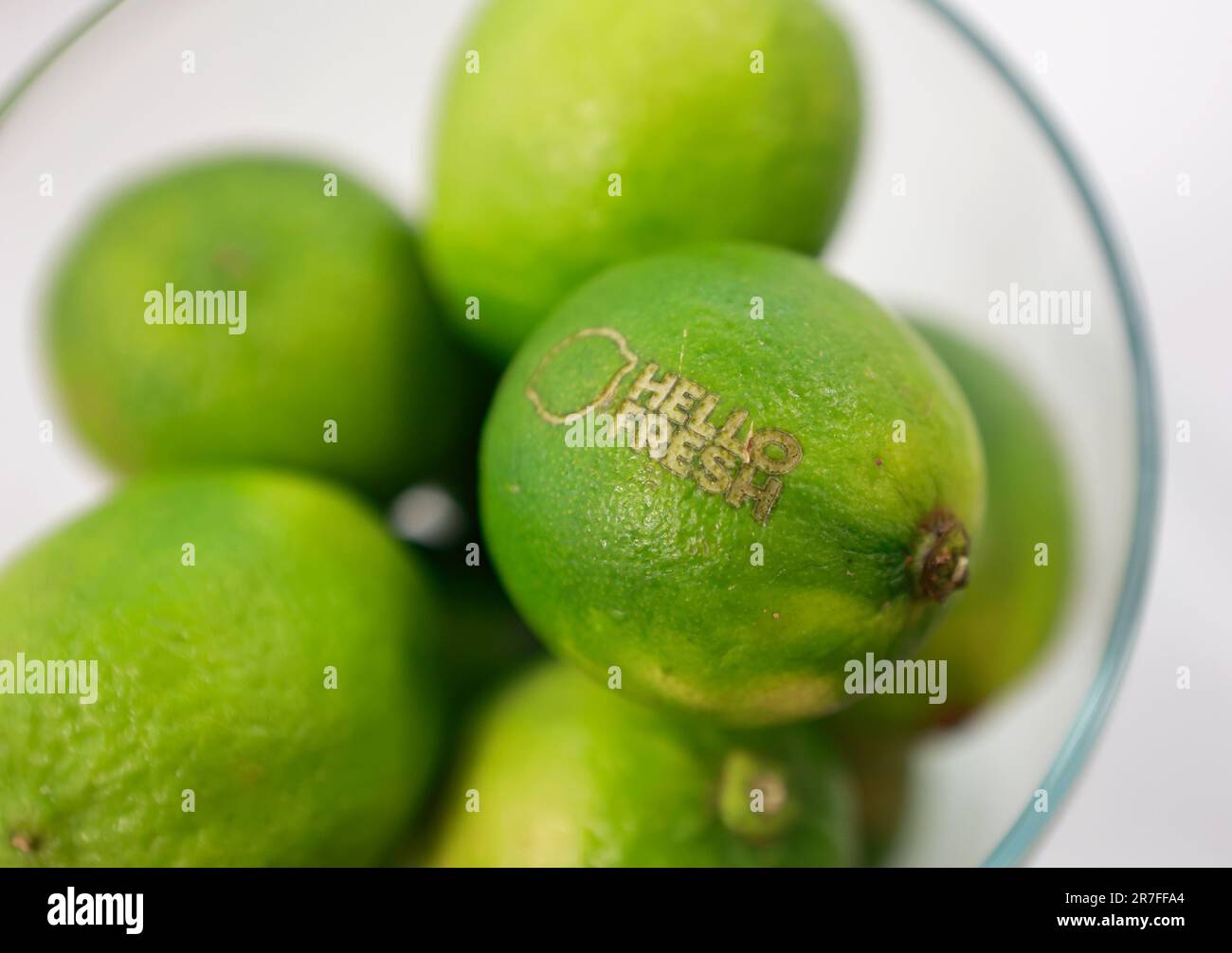 Barleben, Germany. 15th June, 2023. Lemons with the Hello Fresh logo ...