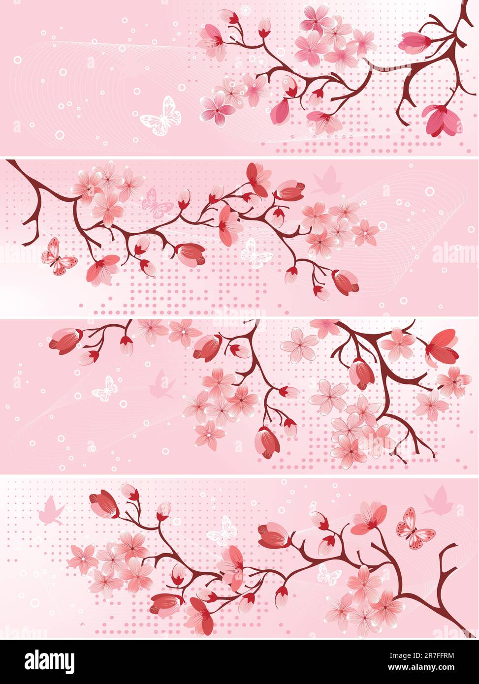 Cherry blossom, banner. Vector illustration Stock Vector Image & Art ...