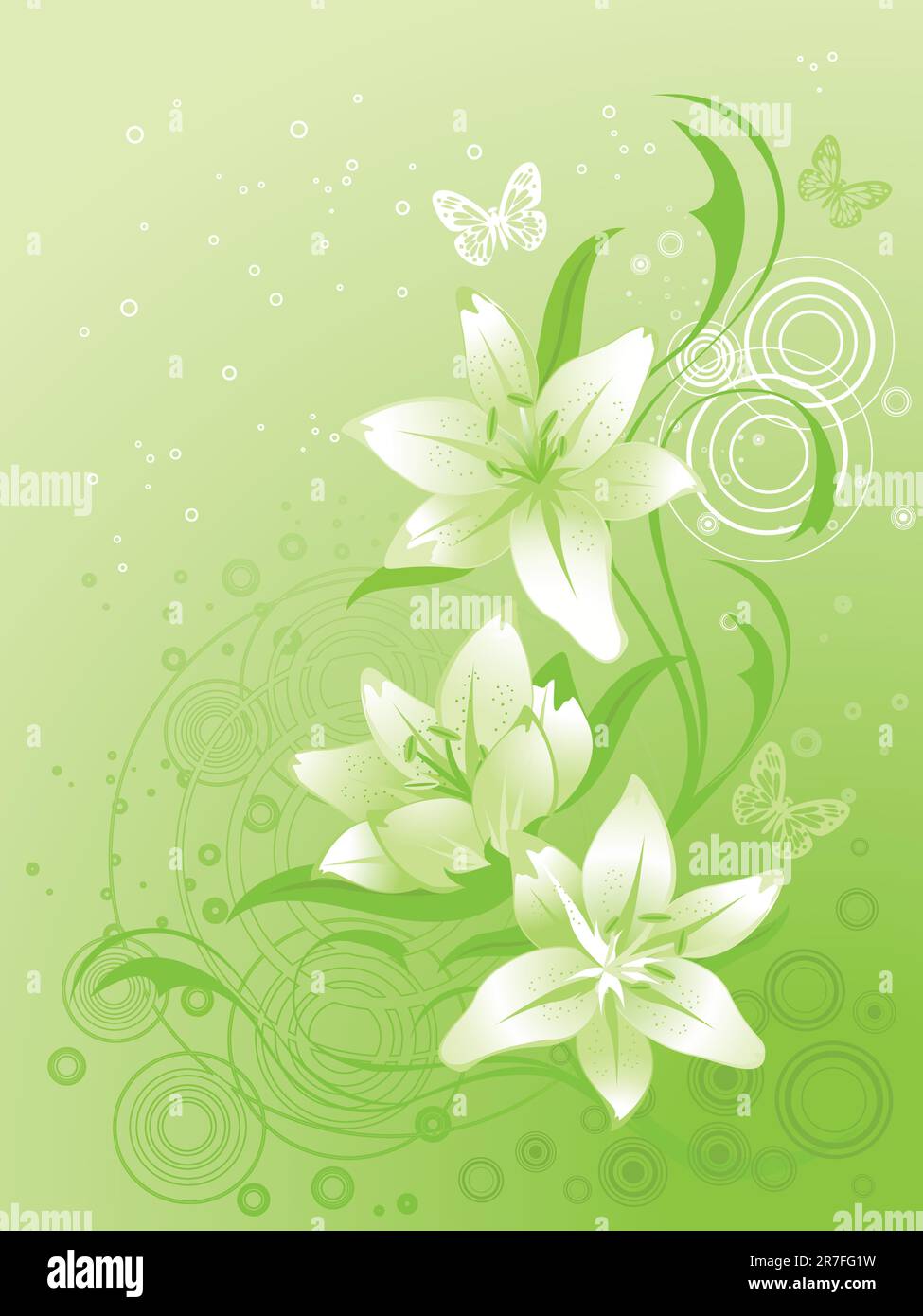 Lily full Stock Vector Images - Alamy