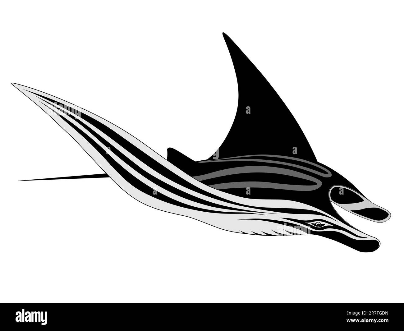 Manta ray Stock Vector Images - Alamy