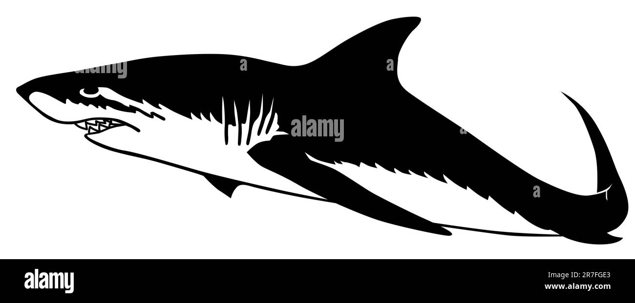 Form of marine life Stock Vector Images - Alamy