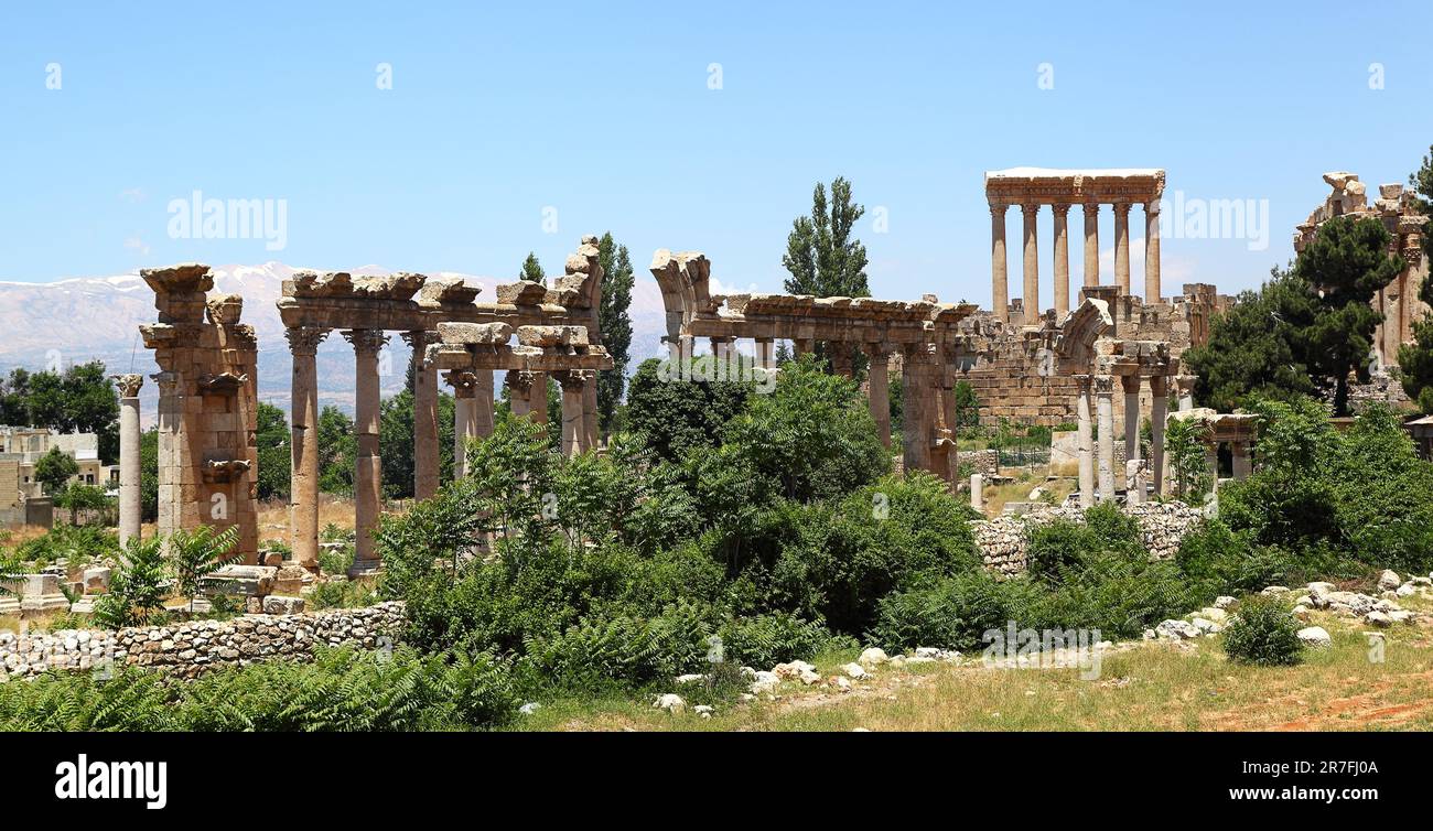 Baalbek, Lebanon: The famous Roman ruins in the beqaa valley of Lebanon ...