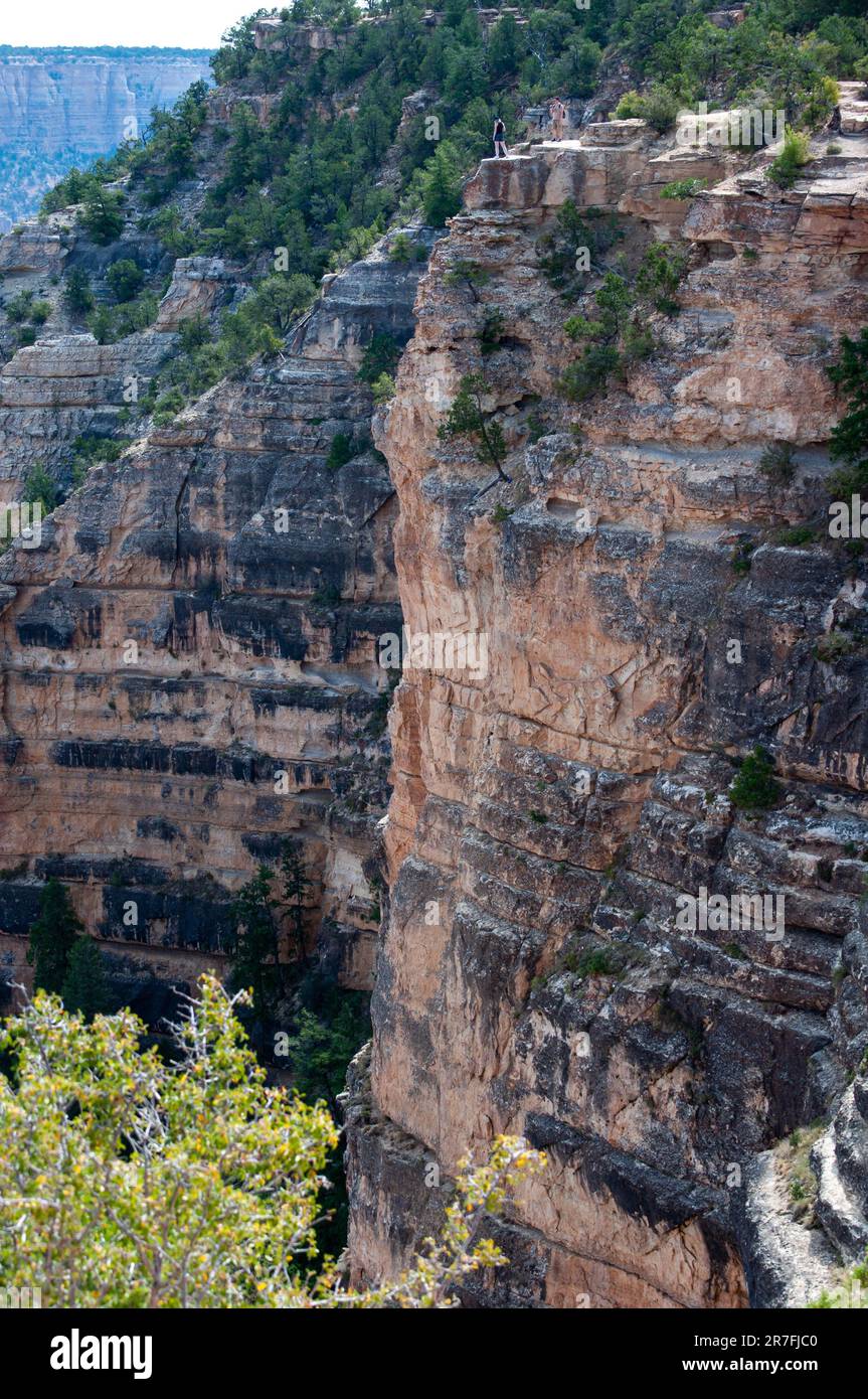 A Magnificent view of the Grand Canyon in the United States, featuring ...