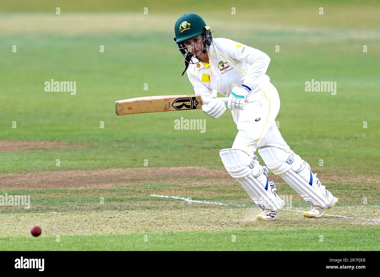 Charli knott hi-res stock photography and images - Alamy