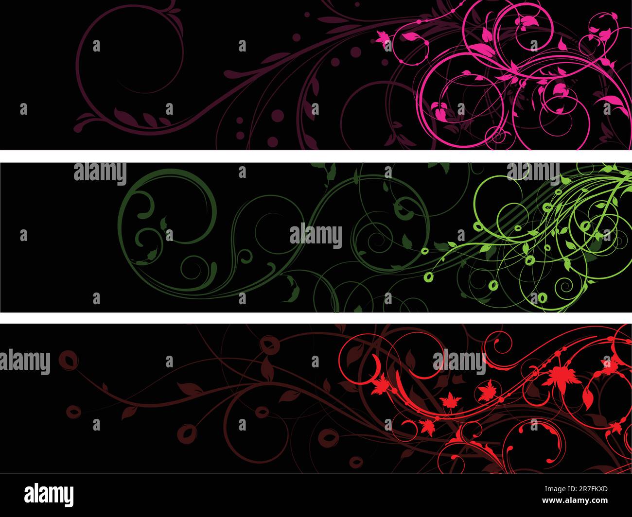 Floral designs using bright colours on black backgrounds Stock Vector ...