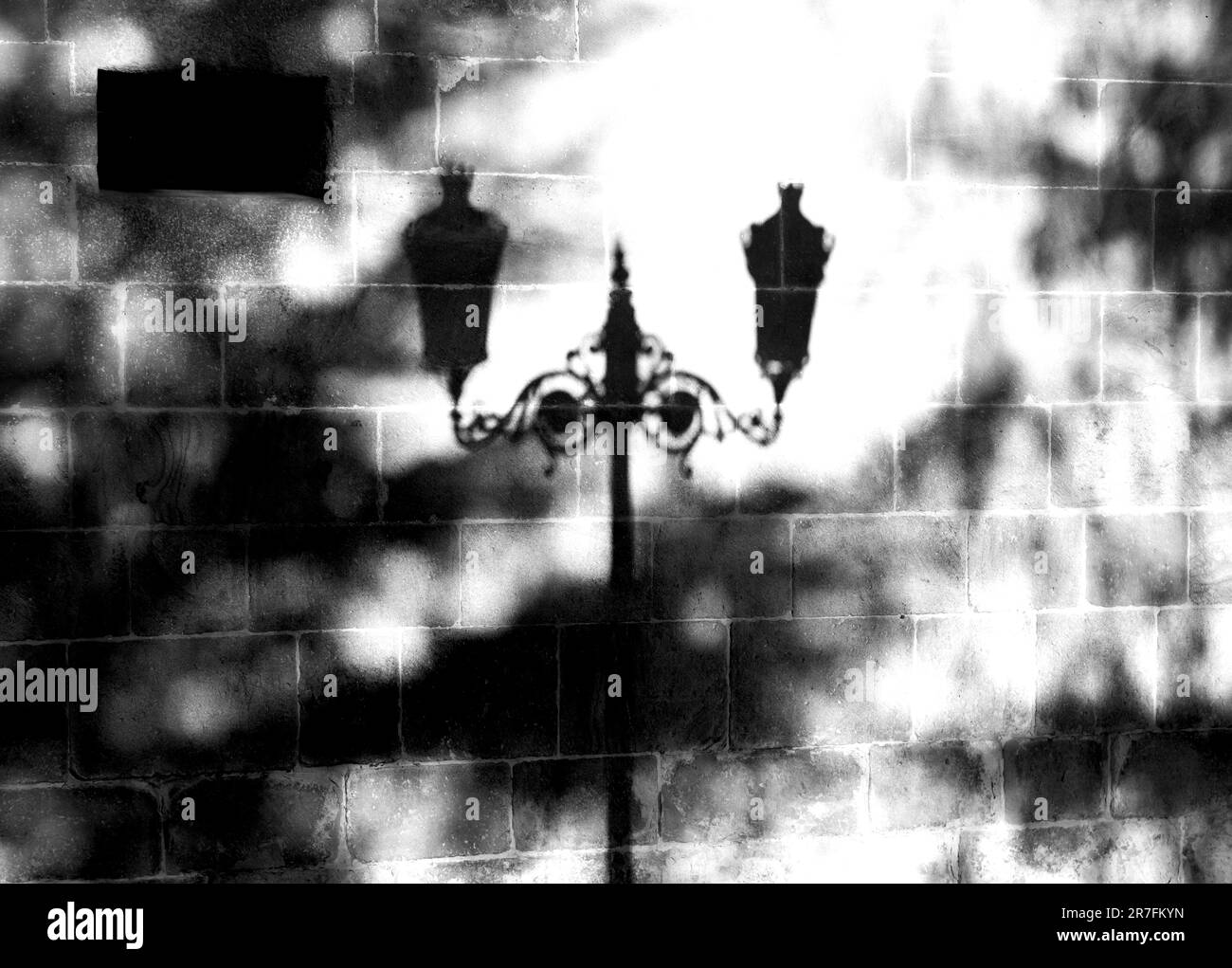 Ceiling flowers Black and White Stock Photos & Images - Alamy