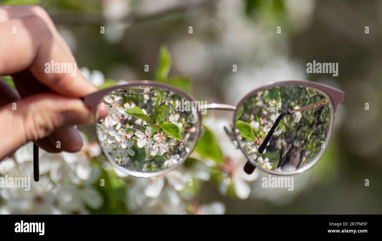 Myopia (shortsightedness) glasses in hand, looking on blooming spring ...