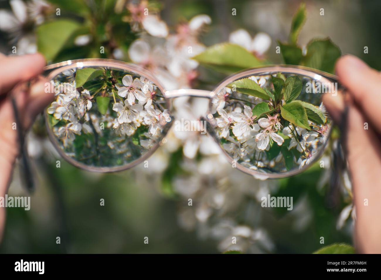 Myopia glasses in woman hands close-up, looking on blooming spring trees flowers in focus with ...
