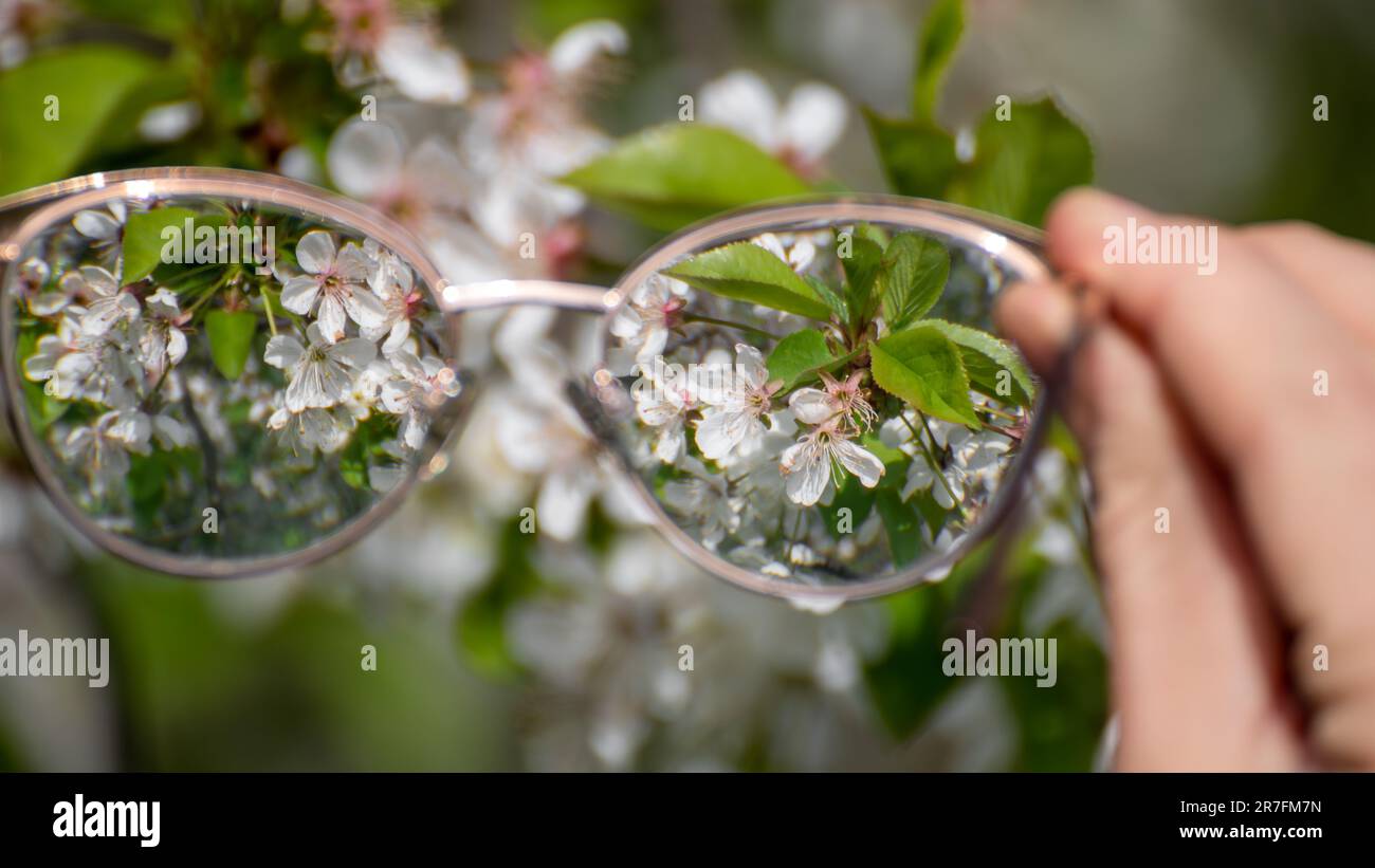 Myopia glasses in woman hand close-up, view on blooming spring flowers in focus with blurry ...