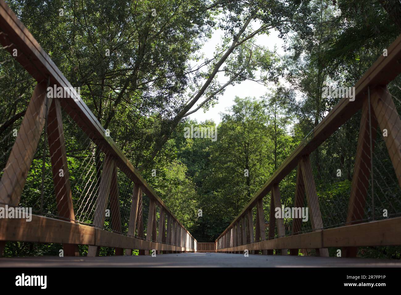 Beautiful shot forest pathway hi-res stock photography and images - Alamy