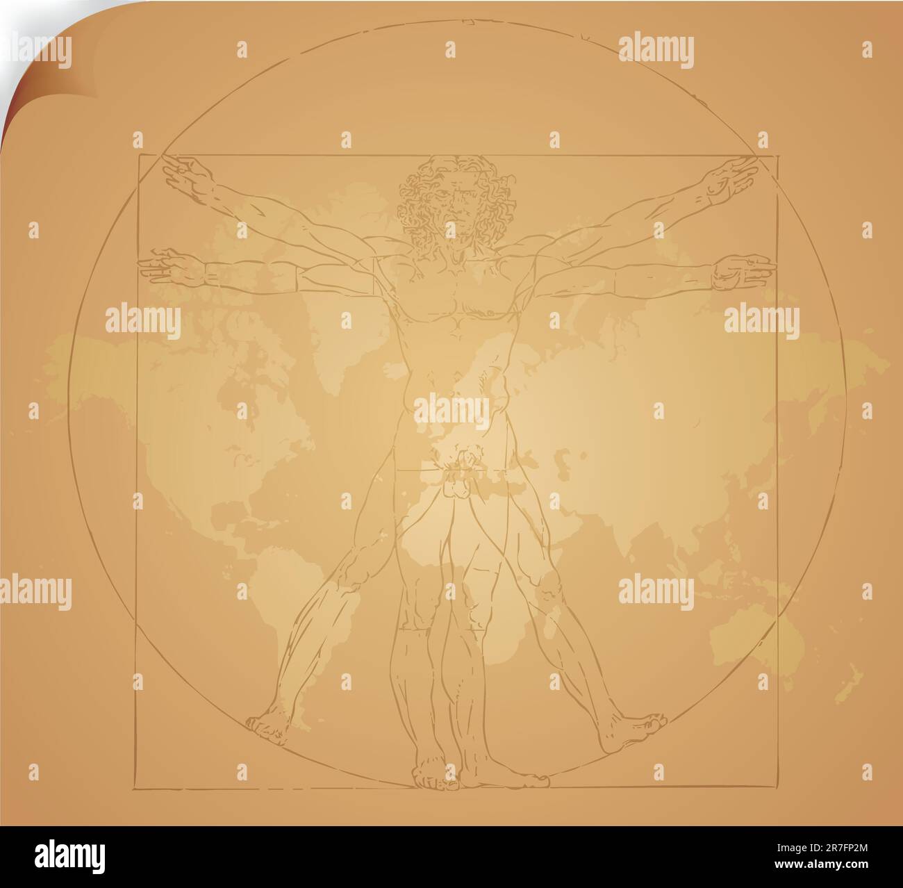 Leonardo da Vinci's vitruvian man in vector Stock Vector Image & Art ...
