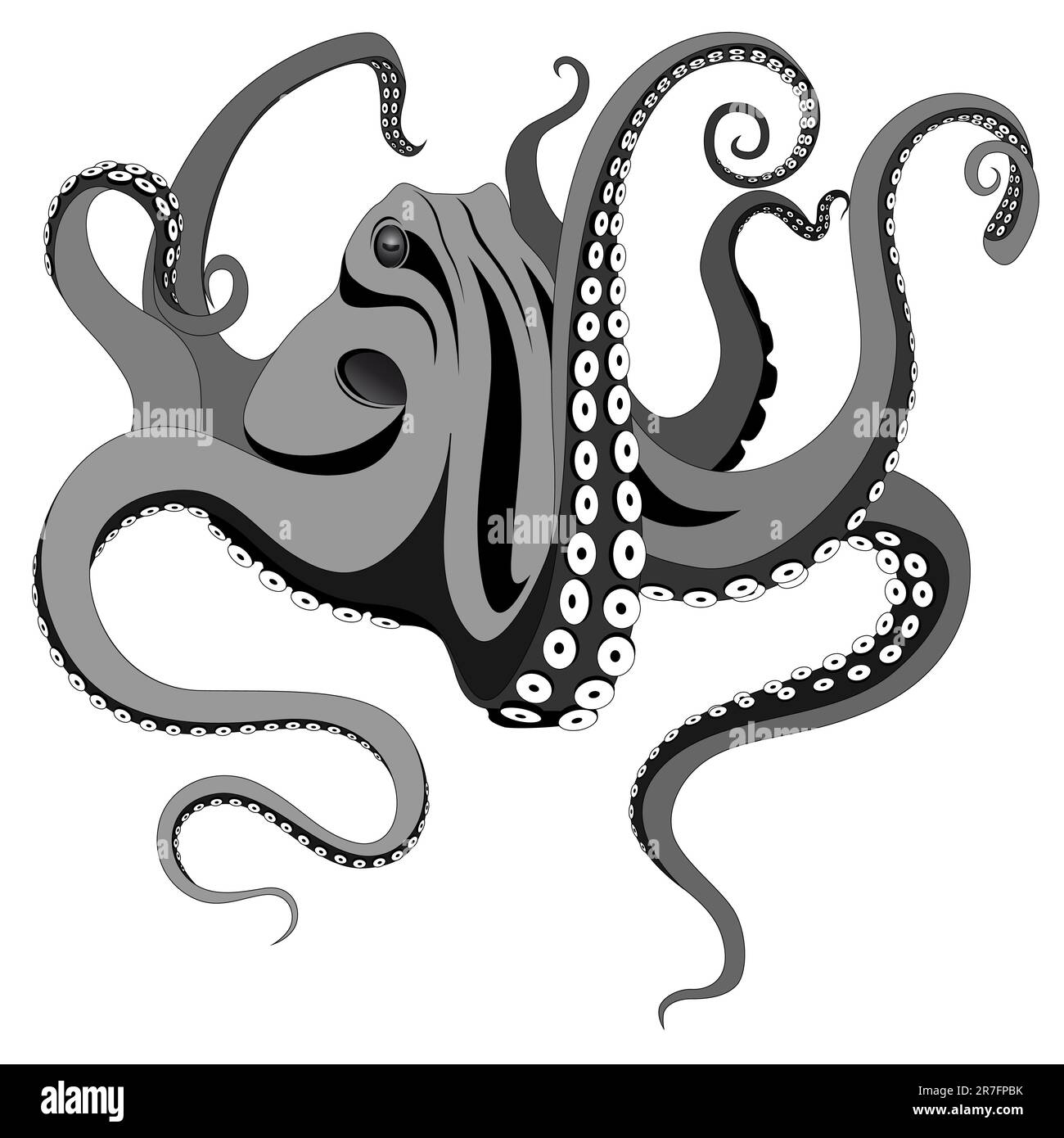 Vector octopus represented in the form of a tattoo Stock Vector Image ...