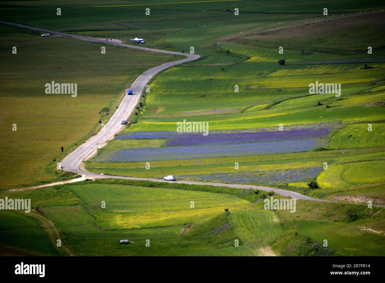 view of the road in the middle of the flowery countryside Stock Photo ...
