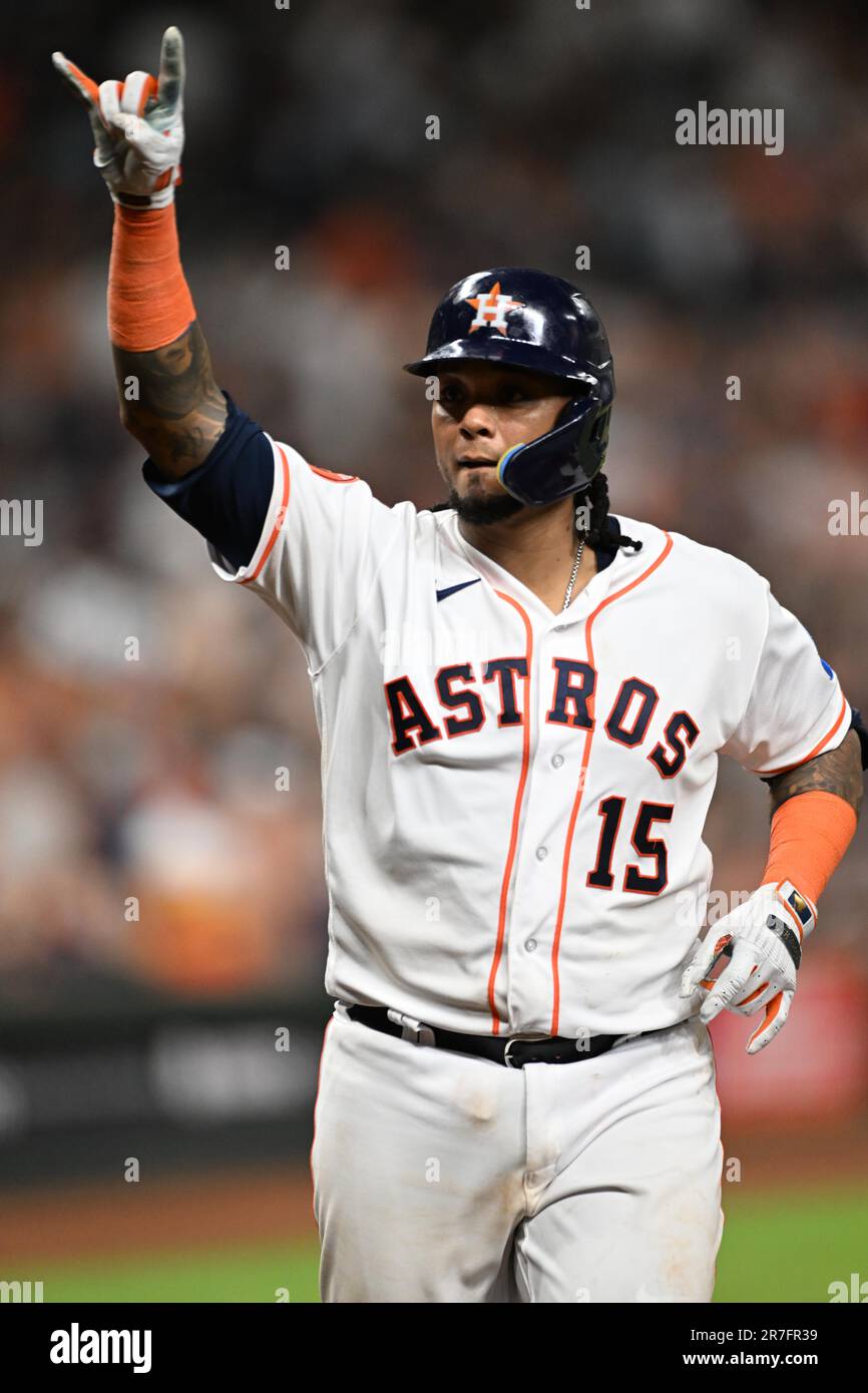 Houston Astros catcher Martin Maldonado (15) celebrates his 100th ...