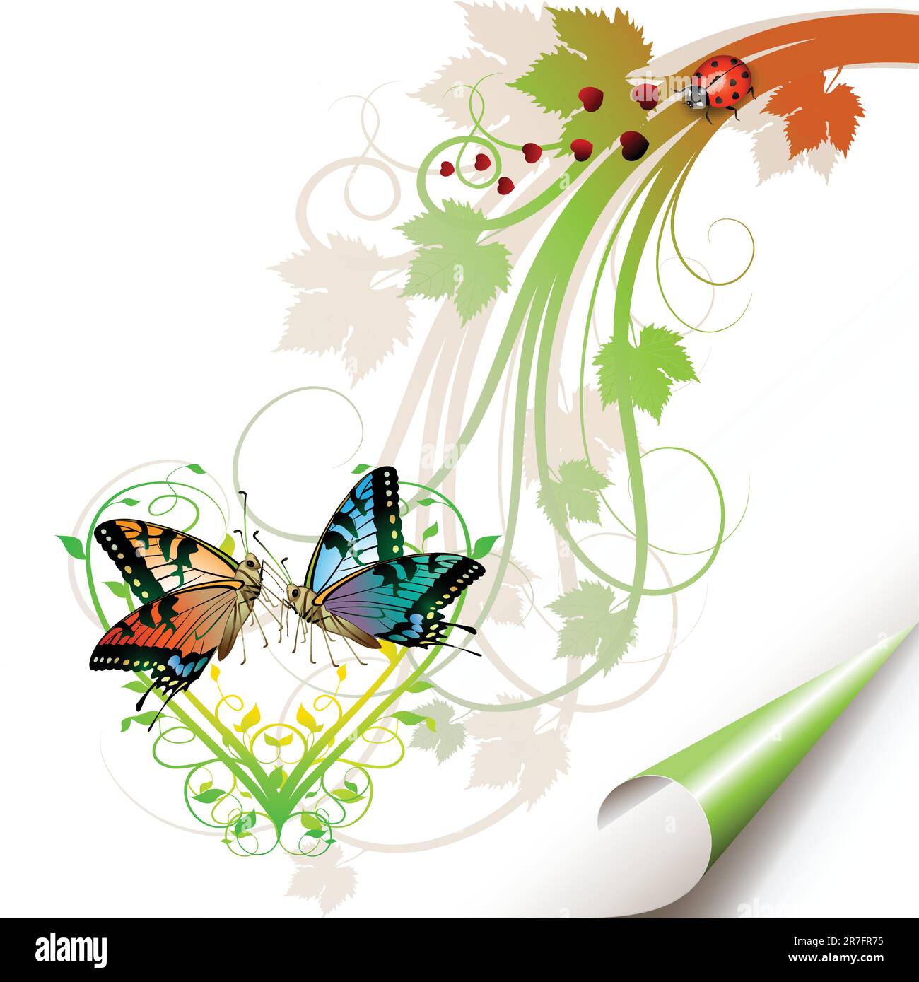 Corner Border Designs Butterfly