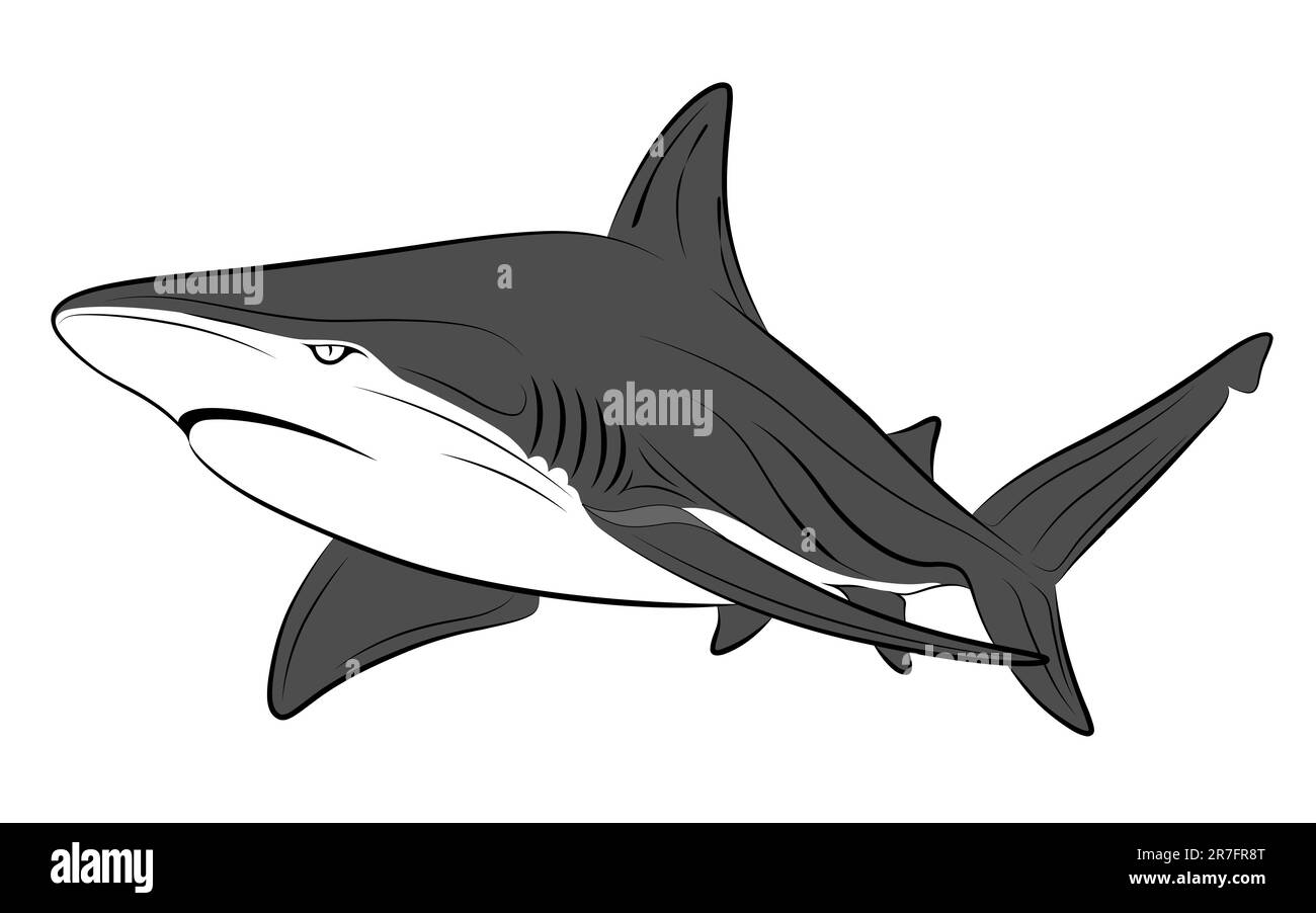 Shark pose Stock Vector Images - Alamy