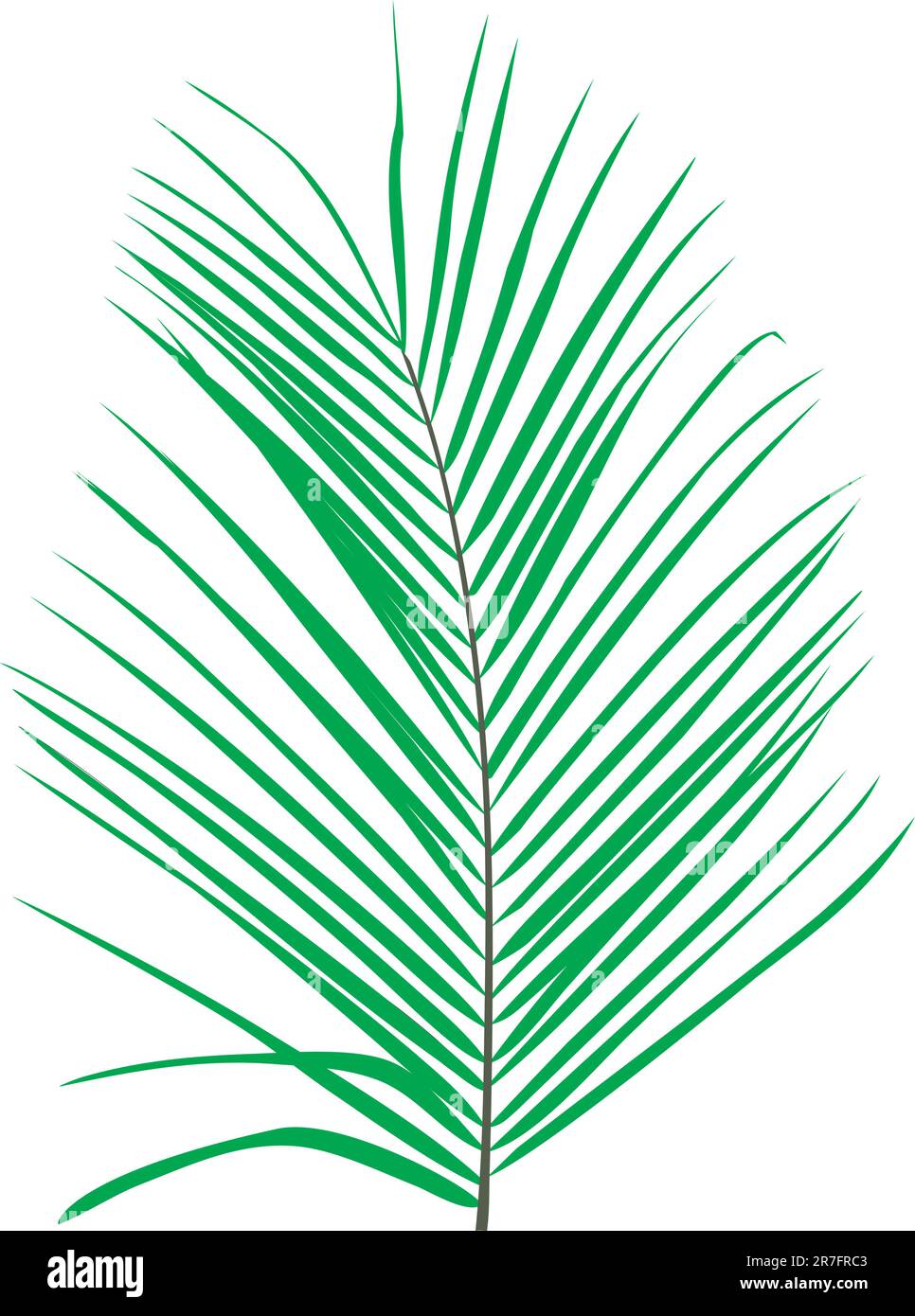 Ornamental plant bush Stock Vector Images - Alamy