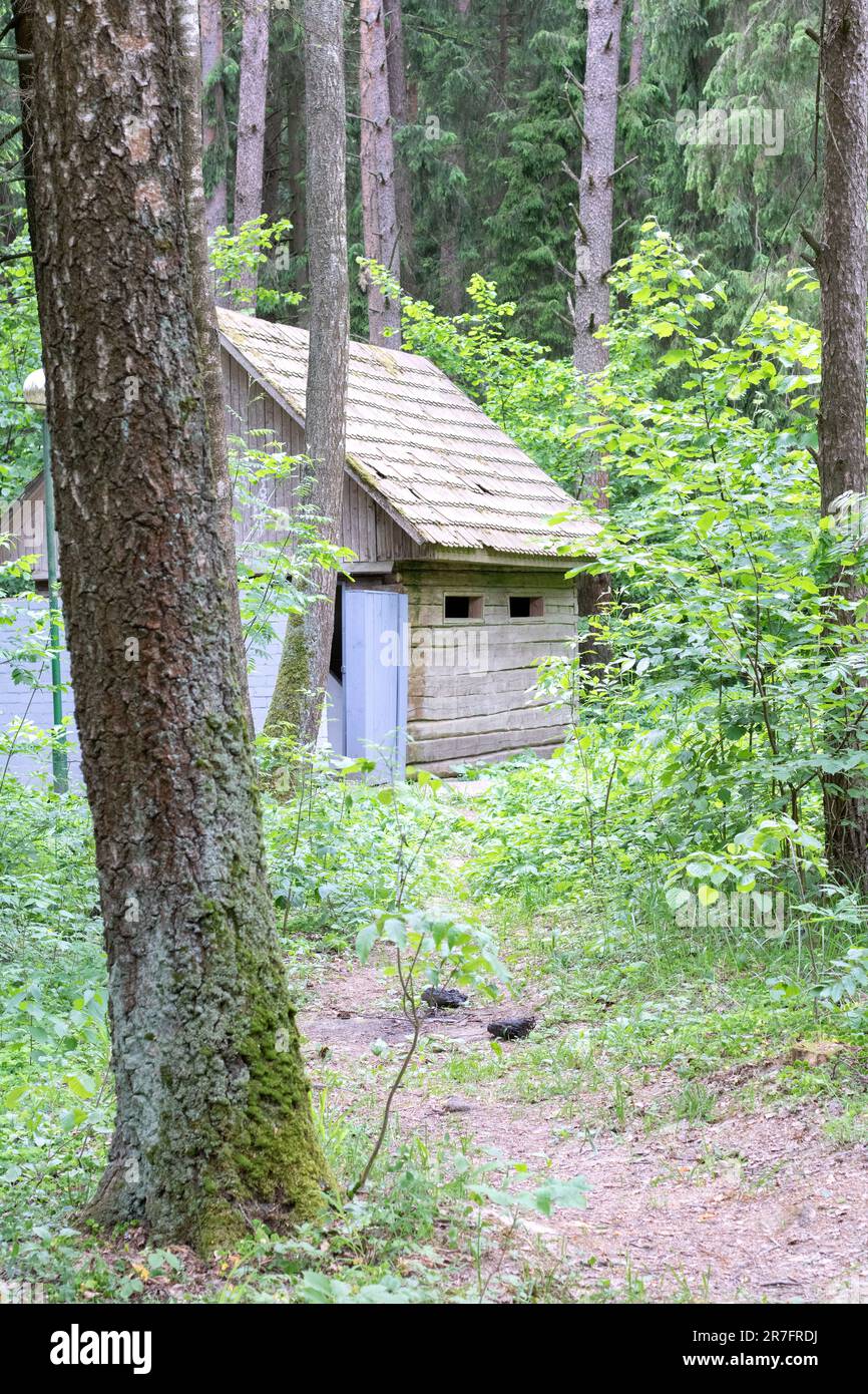 photo of a small house in the woods in the distance Stock Photo - Alamy