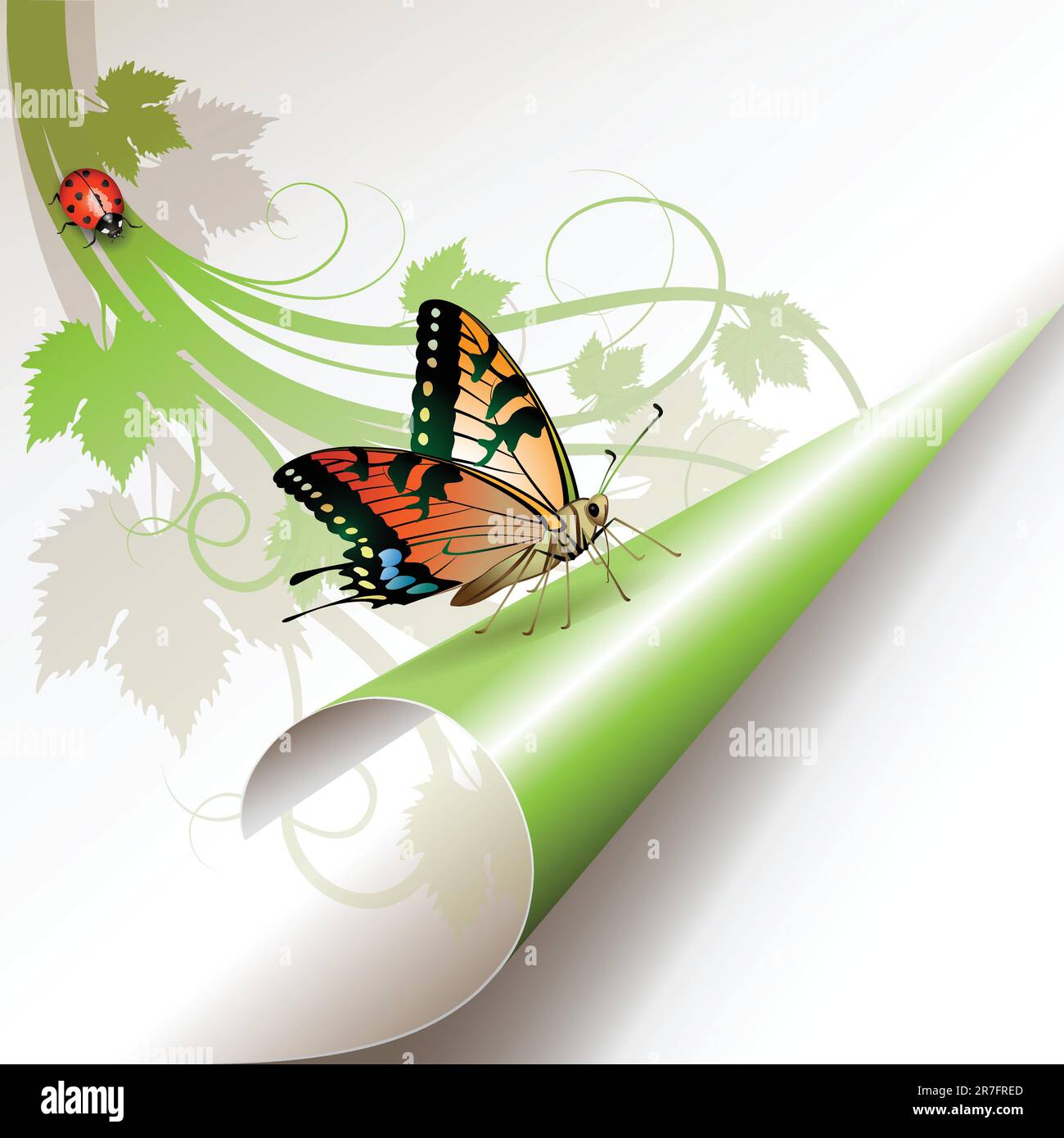 Curled white paper corner Stock Vector Images - Alamy