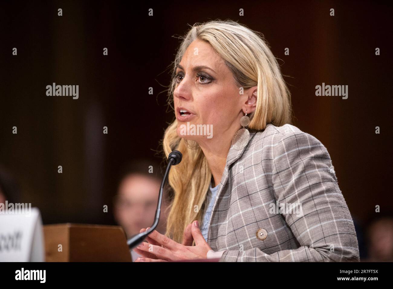 Jennifer Mascott, Assistant Professor of Law and Co-Executive Director ...