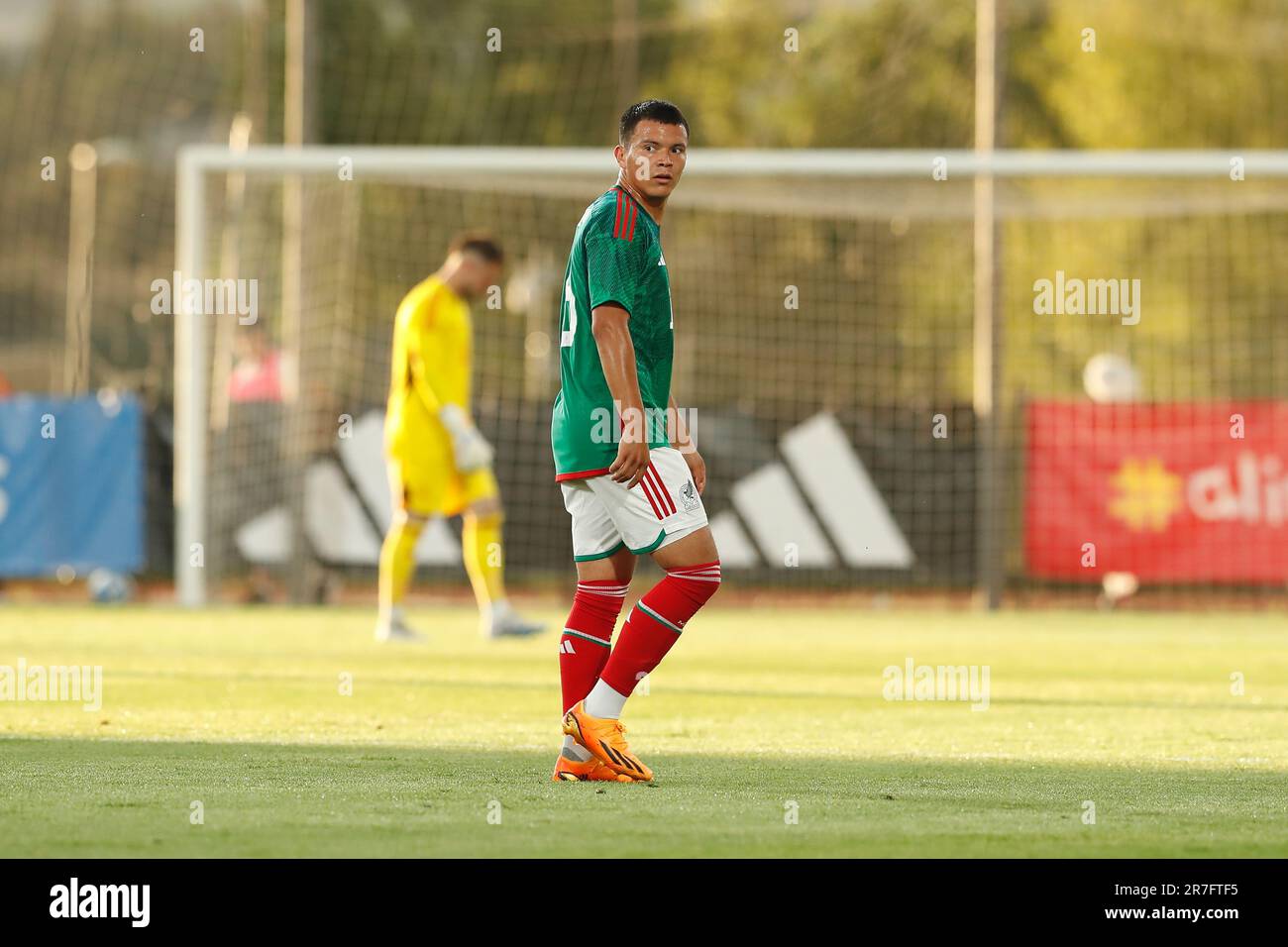 Ali avila hi-res stock photography and images - Alamy