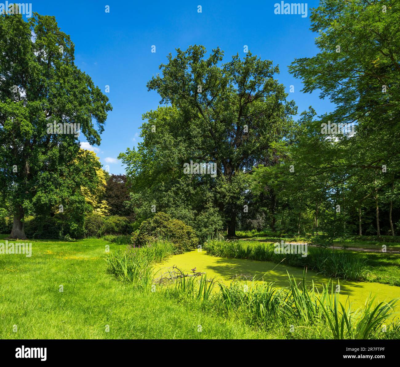 Schloss burg dusseldorf hi-res stock photography and images - Alamy