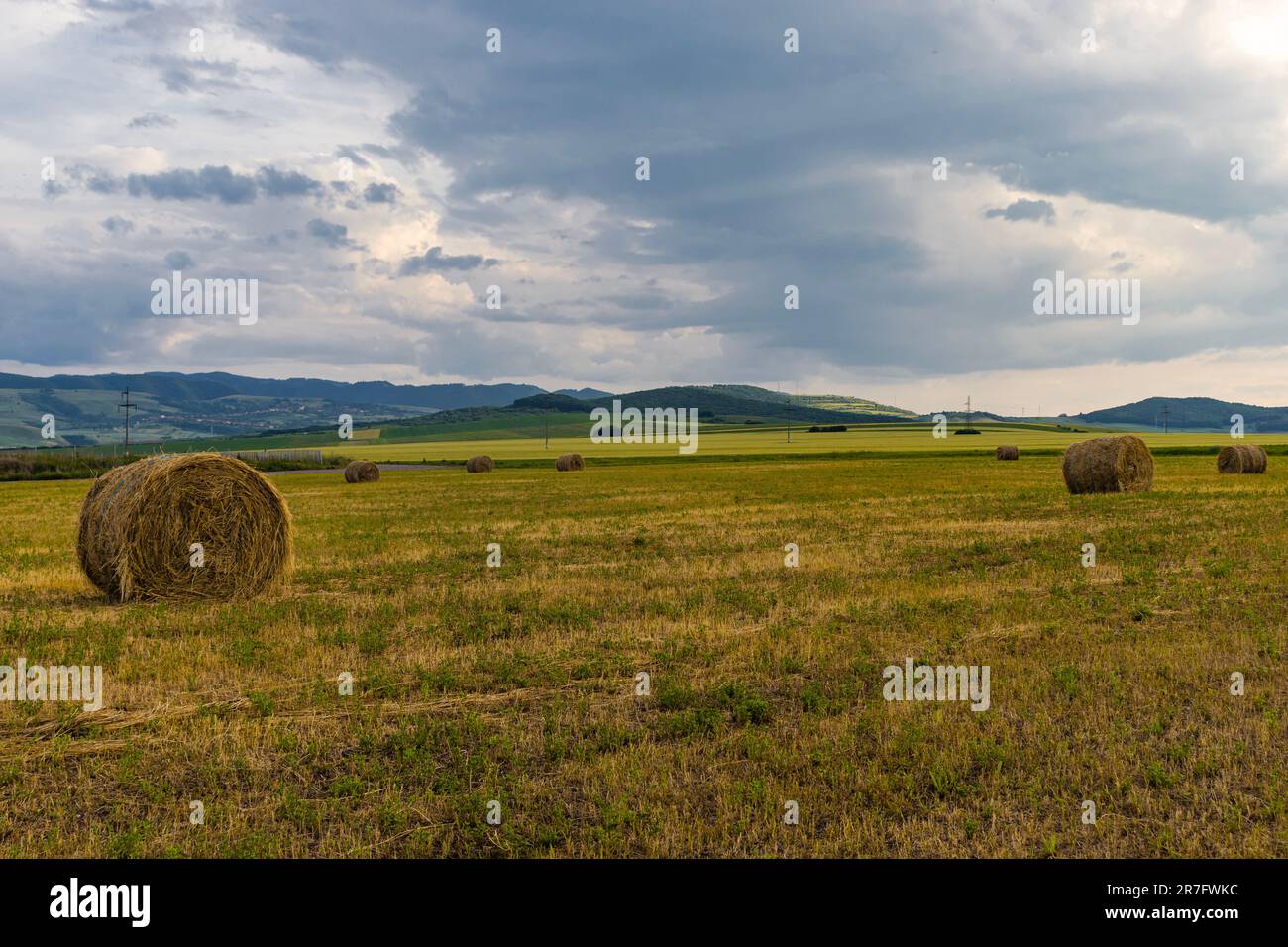 Rural landscape photography of a field with straw bales in the summer ...