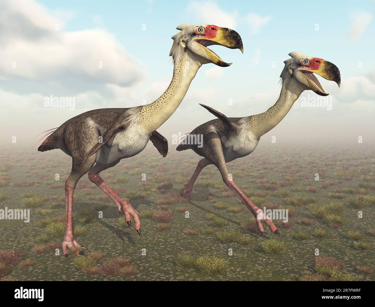 Terror bird Phorusrhacos in a landscape Stock Photo - Alamy
