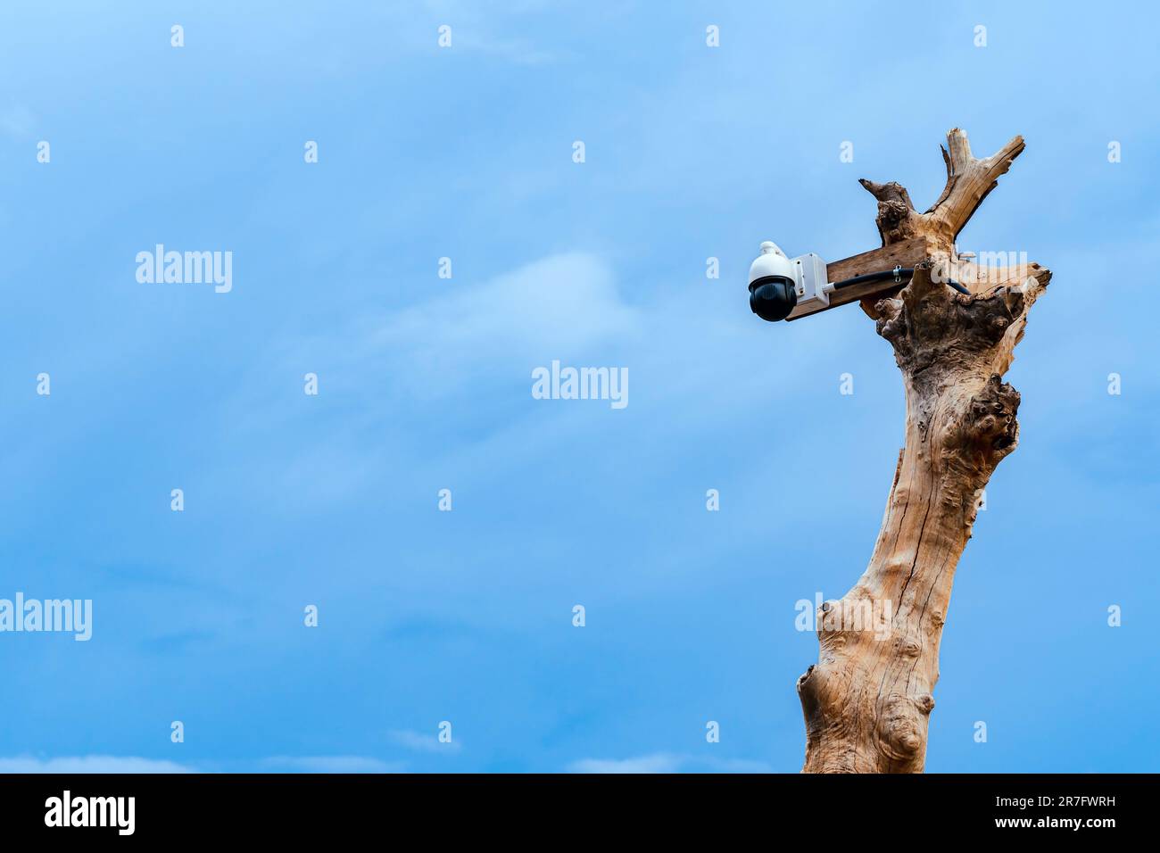 Closed circuit camera multi-angle CCTV system camera installed on dead ...