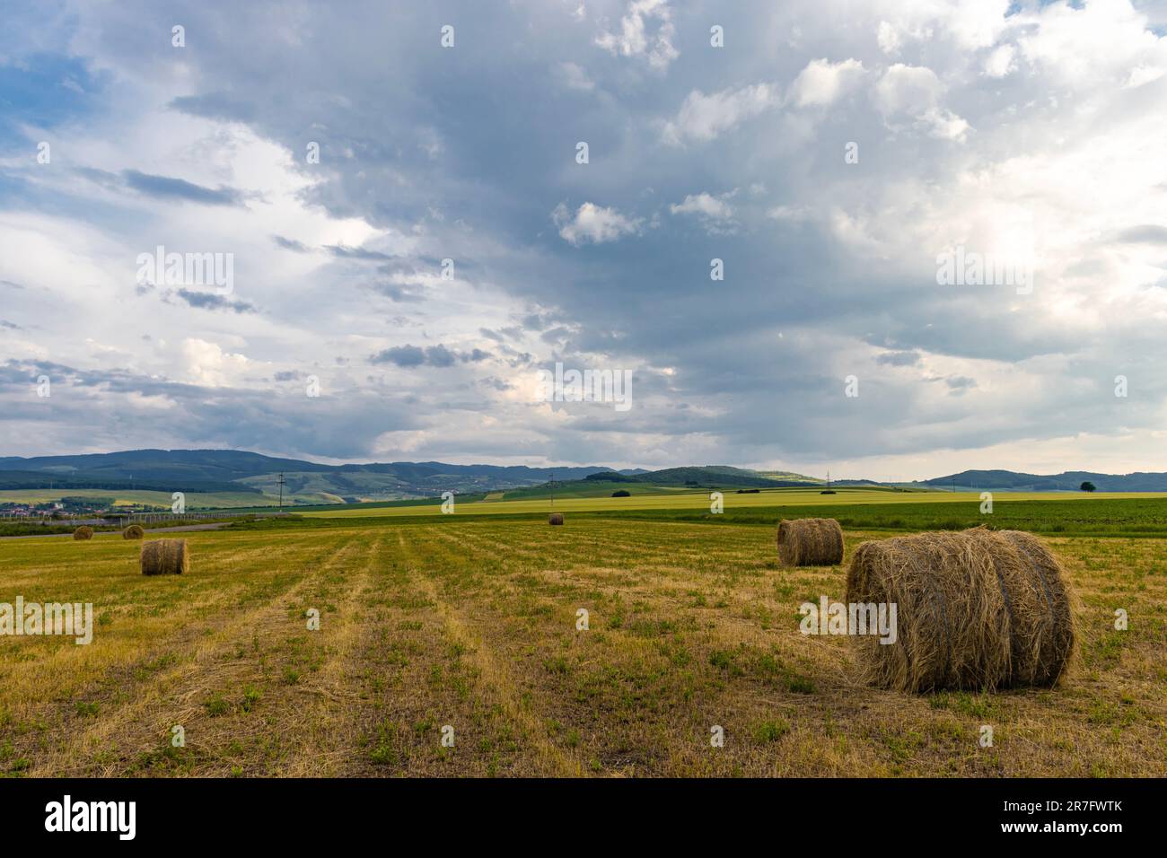 Rural landscape photography of a field with straw bales in the summer ...