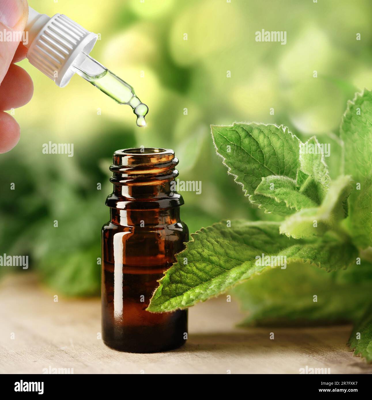 Drop of Essential oil of mint falling from glass dropper in brown ...