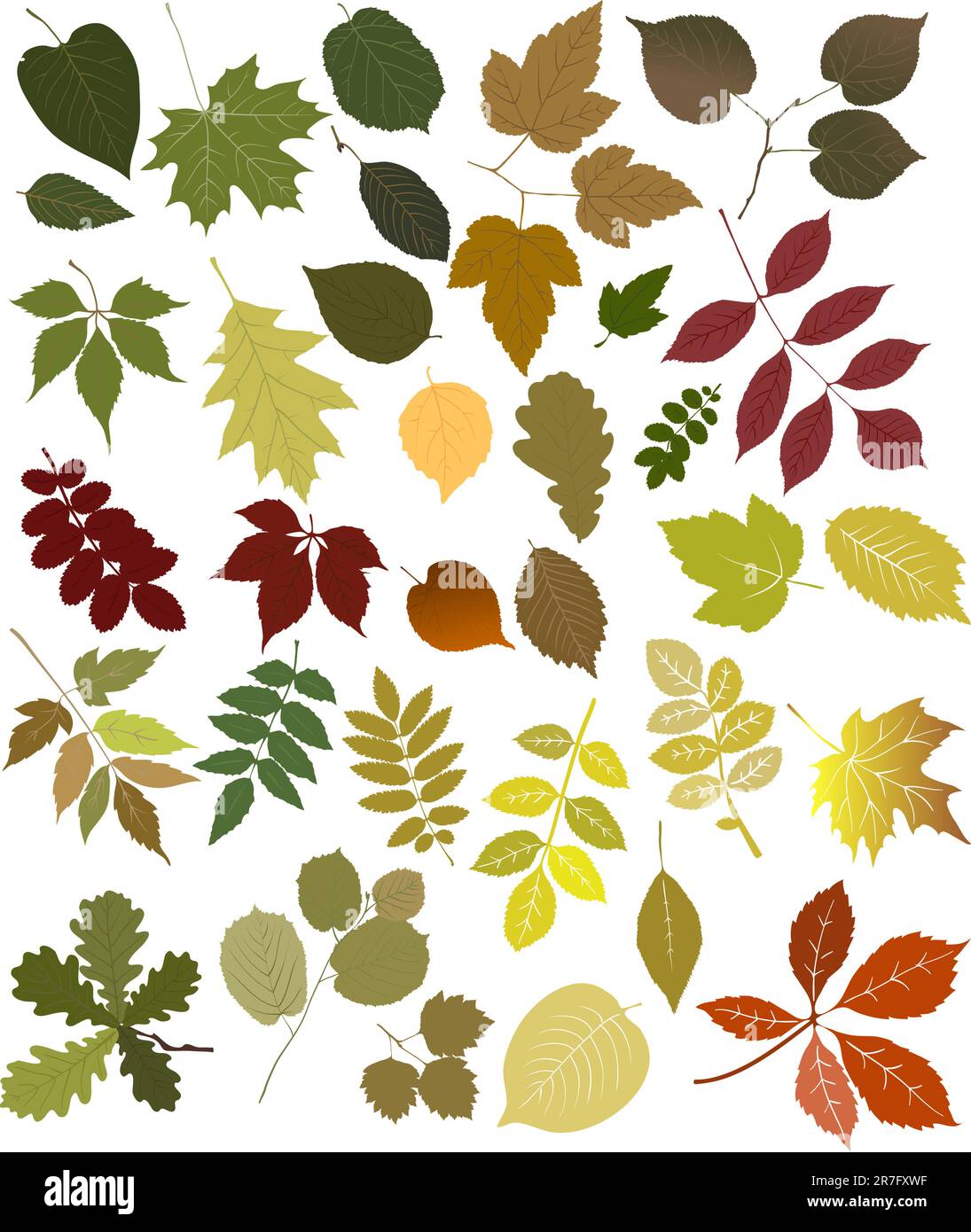 Playing with leaves Stock Vector Images - Alamy