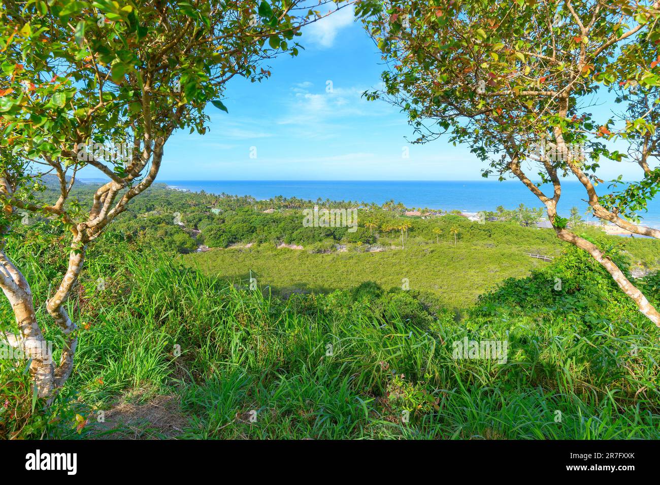 The beautiful nature landscape of Trancoso, district of Porto Seguro ...