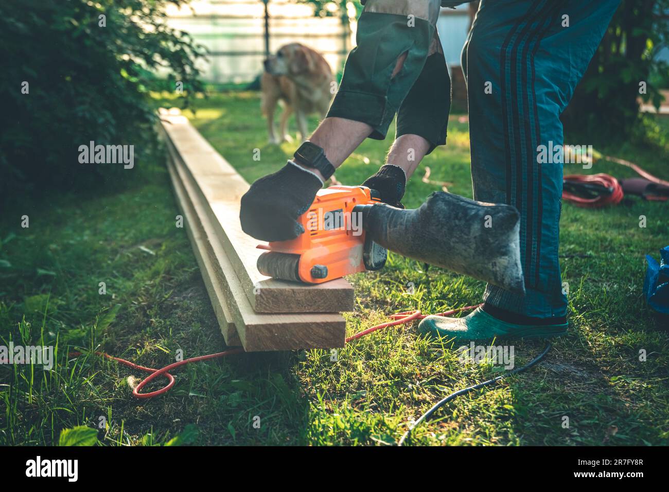 The man grinds the boards with a belt grinder, the electric tool for ...