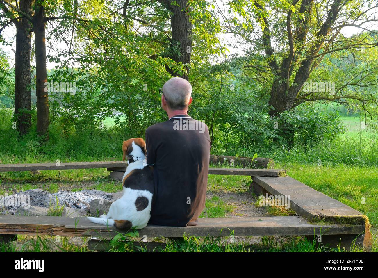 A man and his dog sitting on a bench in nature. Concept of dog devotion ...
