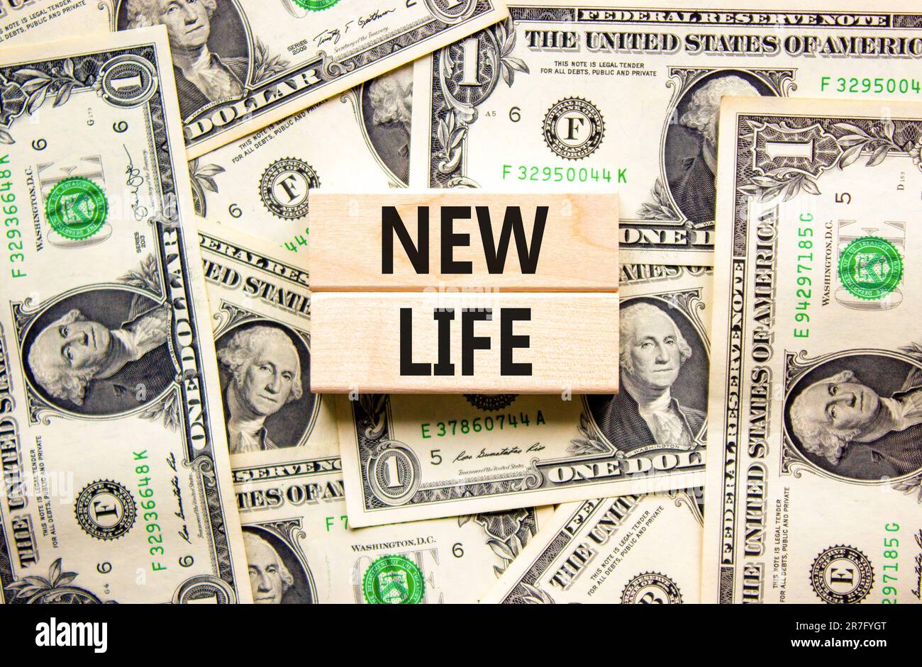 New life symbol. Concept words New life on wooden blocks on a beautiful ...