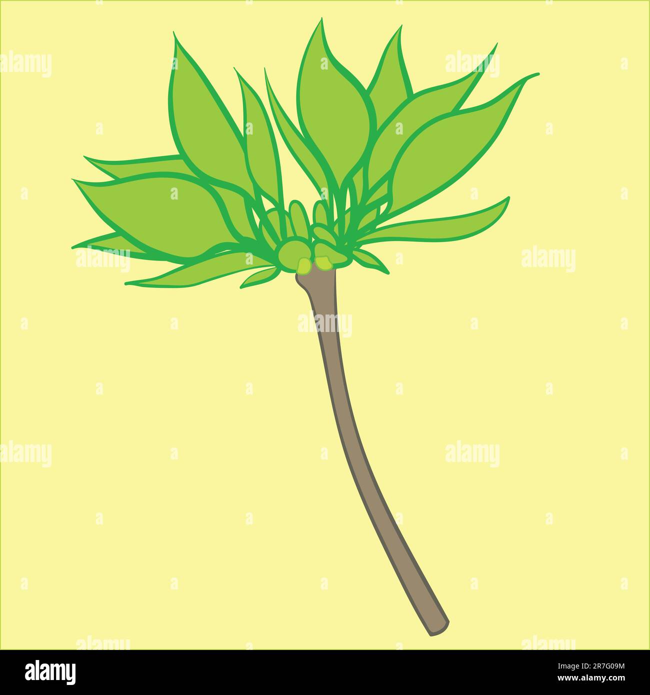 Young healthy leaves Stock Vector Images - Alamy